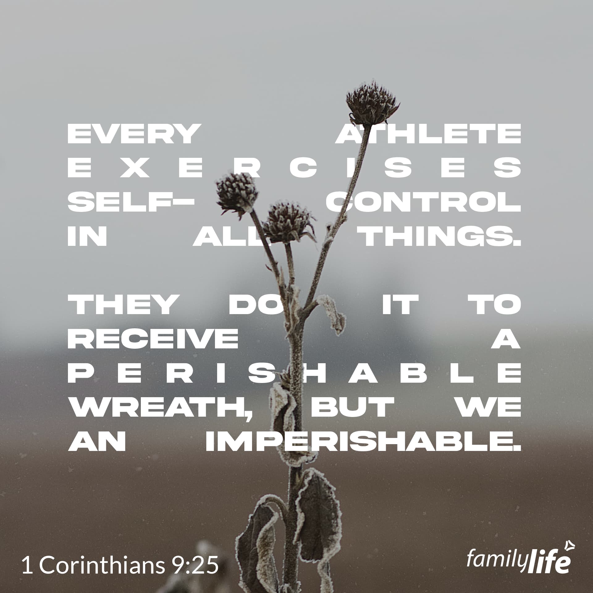 Thursday, January 25, 2024 - Family Life