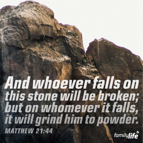 Verse of the Day - Family Life