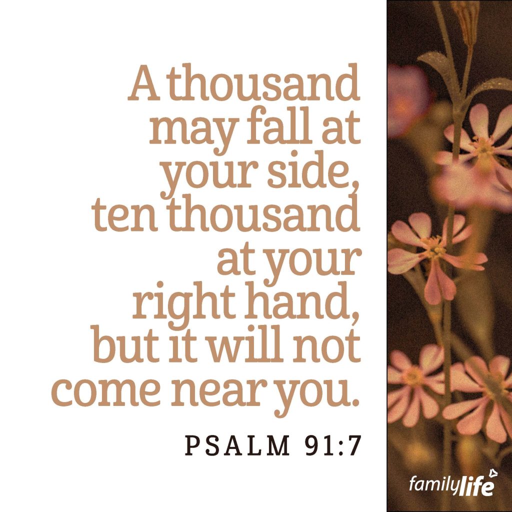 Verse of the Day - Family Life