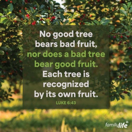 Verse of the Day - Family Life