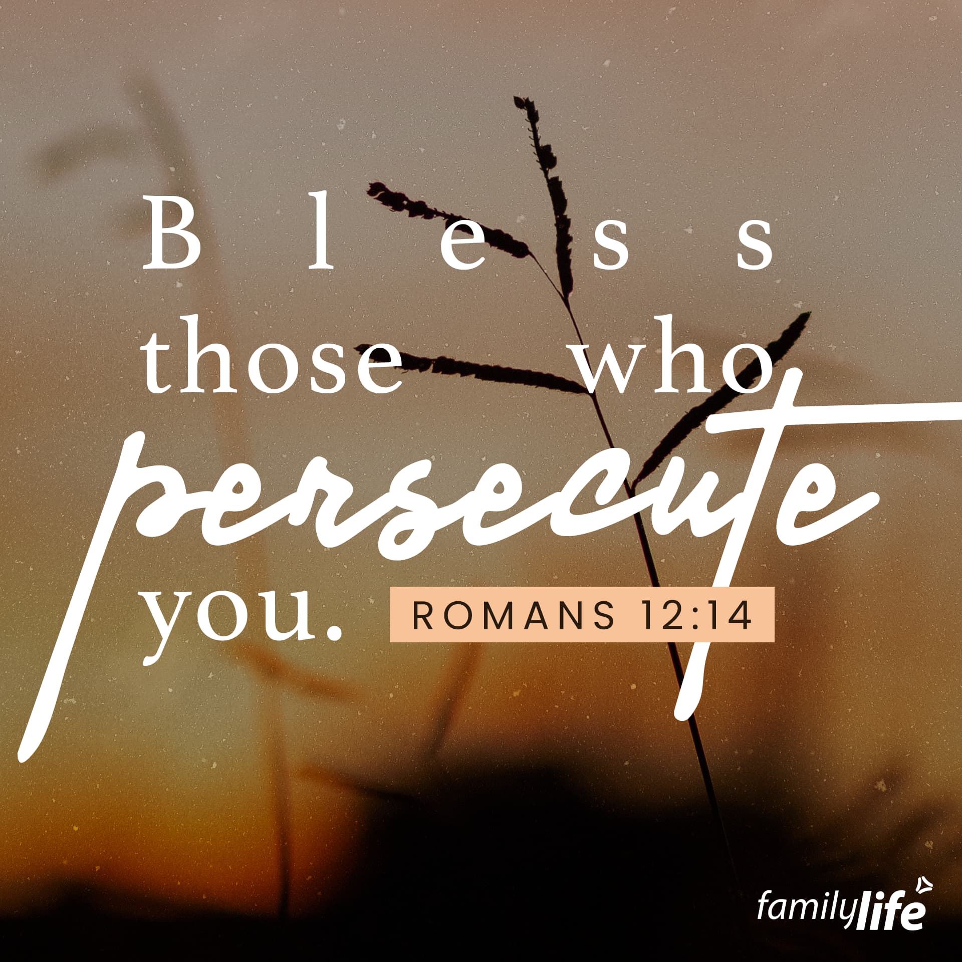 Thursday, November 9, 2023 - Family Life