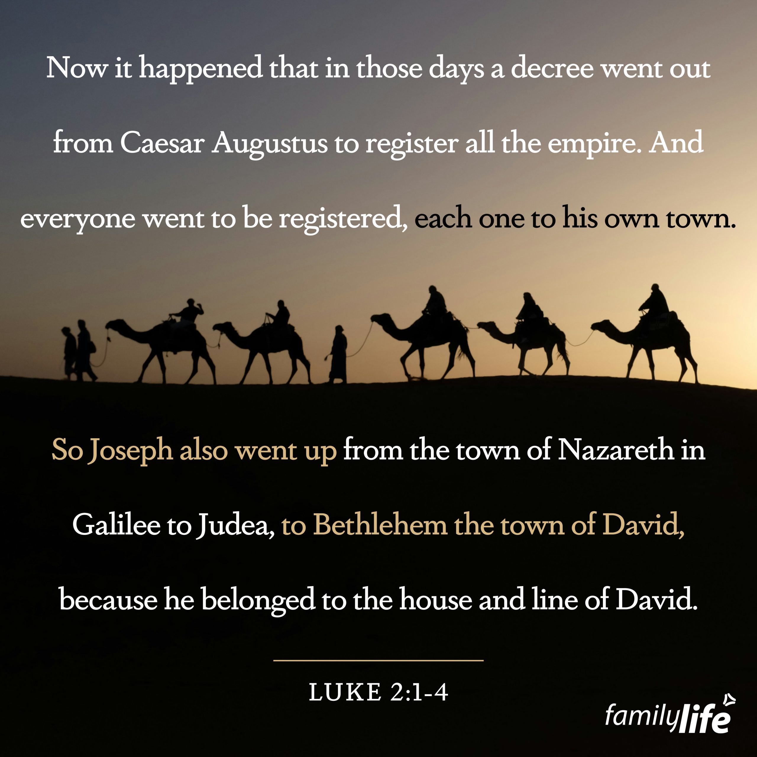 Wednesday, December 25, 2024 - Family Life