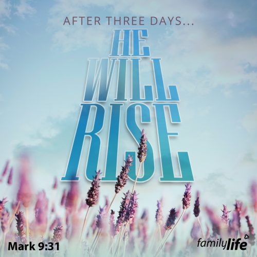 Verse of the Day - Family Life