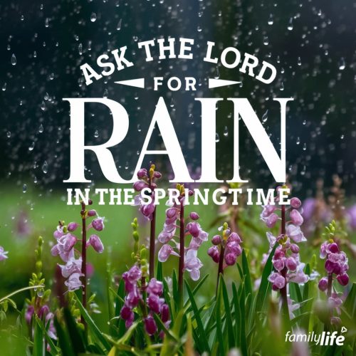 Verse of the Day - Family Life