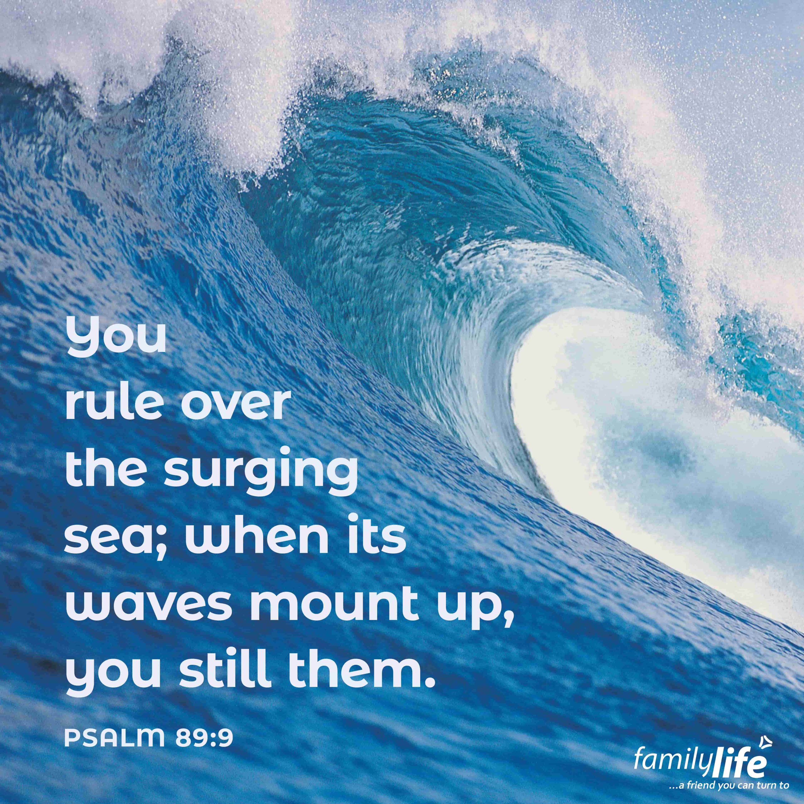 Tuesday, June 3, 2025 - Family Life