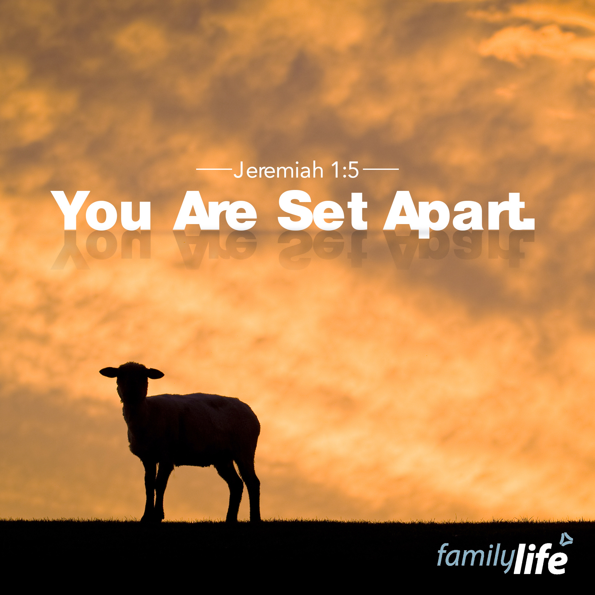 Monday, June 6, 2022 - Family Life